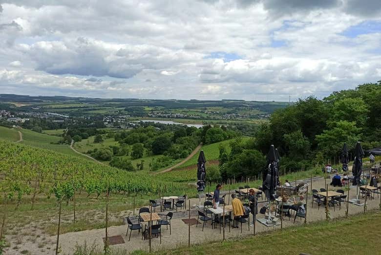 Benoît & Claude Winery Tour in Remich, Remich