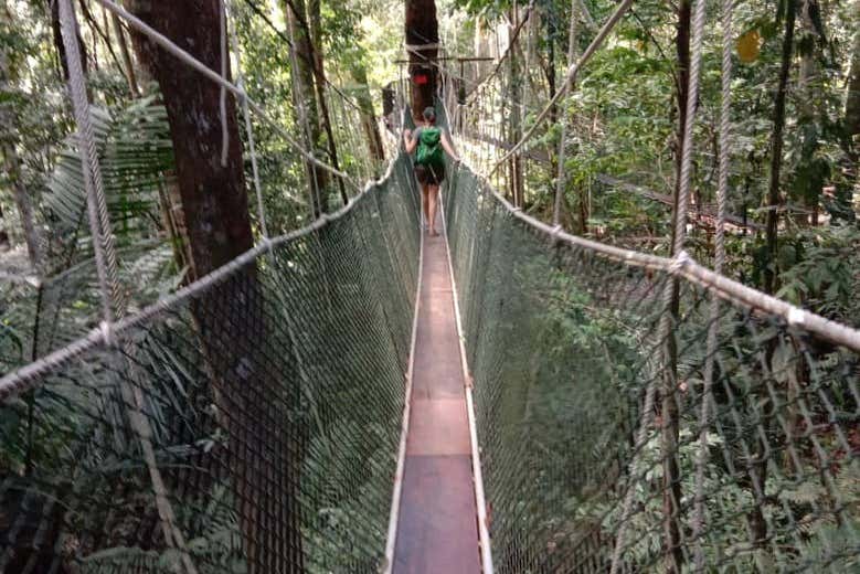 Excursión a la selva Taman Negara desde Kuala Lumpur