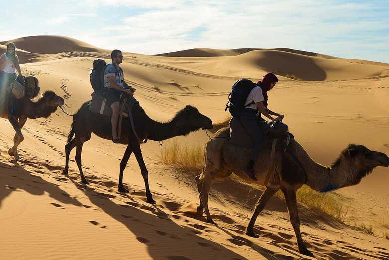 Sunset Camel Ride with Dinner in Agadir - Book at Civitatis.com