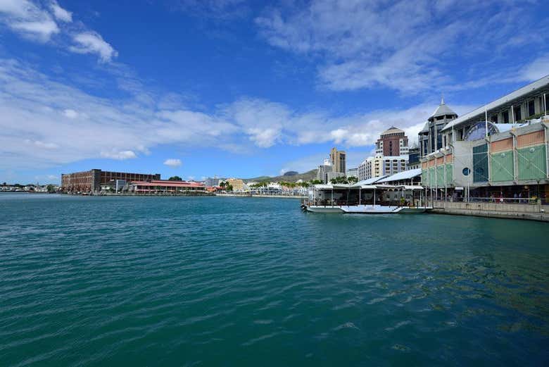 Excursión privada a Port Louis y Pamplemousses, Río Negro