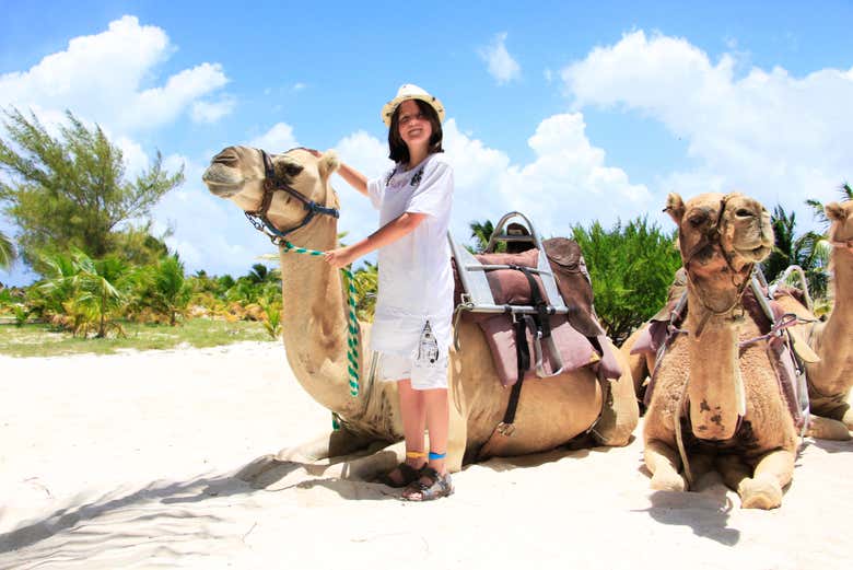 Camel Ride in Riviera Maya from Cancun - Book at Civitatis.com