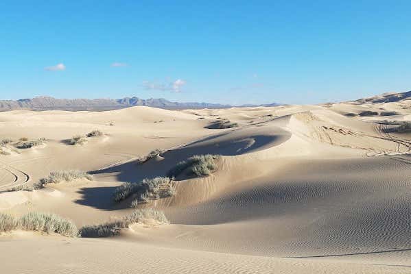 Sandboarding en las dunas de Samalayuca desde Chihuahua