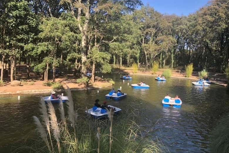 Excursión al Bioparque Estrella desde Ciudad de México