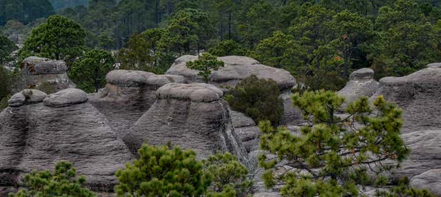 Excursión al Parque Natural Mexiquillo desde Durango