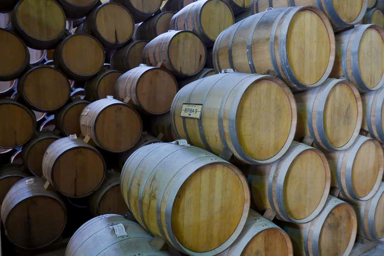 Excursión a Tequila + Tren José Cuervo Express finalizando en Guadalajara