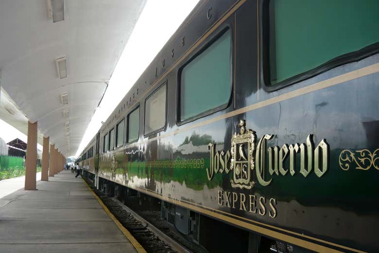 Excursión a Tequila + Tren José Cuervo Express finalizando en Guadalajara