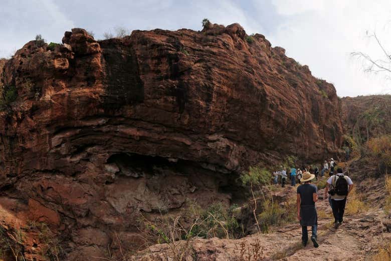 La Pintada Hiking Tour from Hermosillo - Book at Civitatis.com