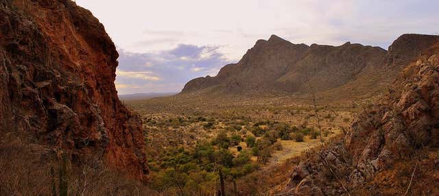 La Pintada Hiking Tour from Hermosillo - Book at Civitatis.com
