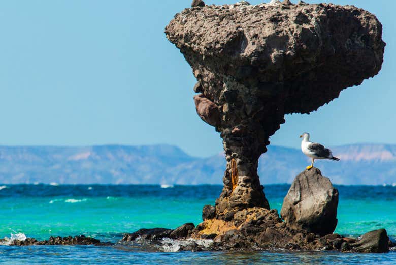 Tour por La Paz y playa Balandra - Reserva online en Civitatis.com