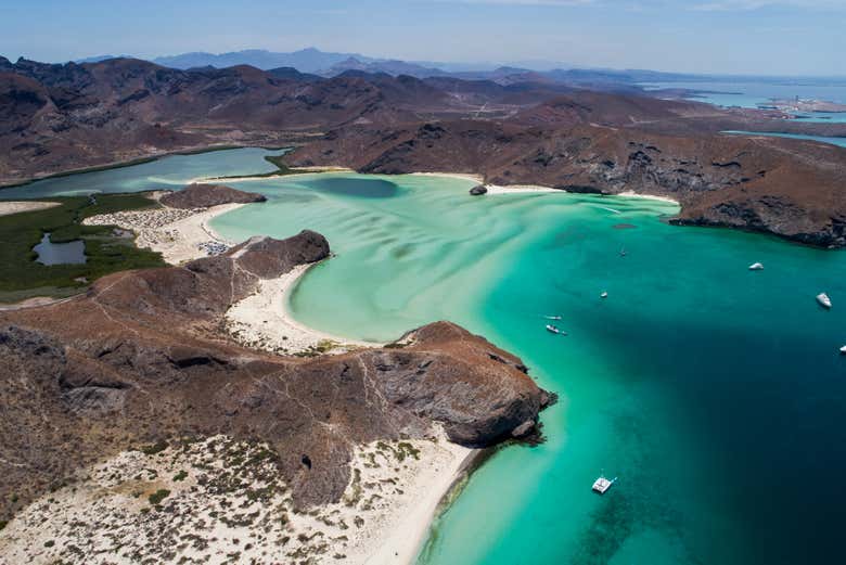 Excursión a playa Balandra desde La Paz + Nado con lobos marinos
