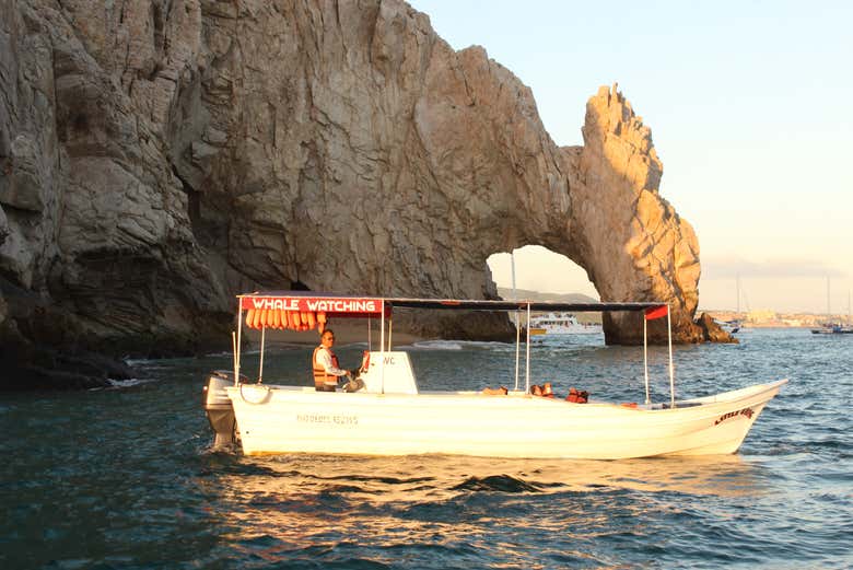 Paseo en barco por Cabo San Lucas con snorkel, Los Cabos