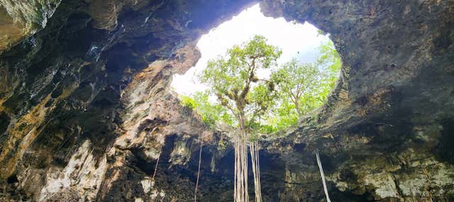 Excursión a los cenotes de Homún desde Mérida - Civitatis.com