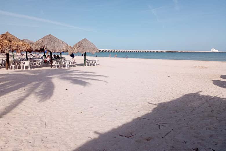 Excursión a Progreso desde Mérida - Reserva en Civitatis.com