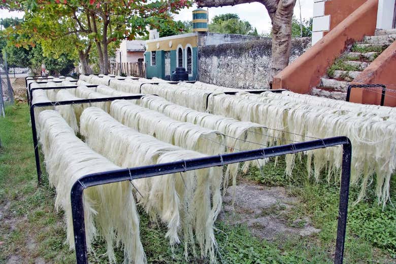 Tour por una hacienda tradicional del Yucatán desde Mérida