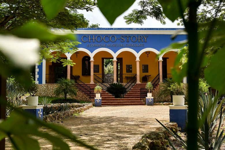Excursión a Uxmal y Museo Choco-Story desde Mérida