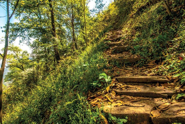 Hiking Trip to Chipinque Ecological Park from Monterrey