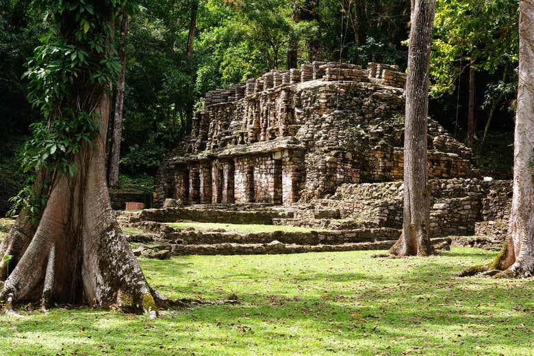 Excursión a Yaxchilán y Bonampak desde Palenque - Civitatis.com