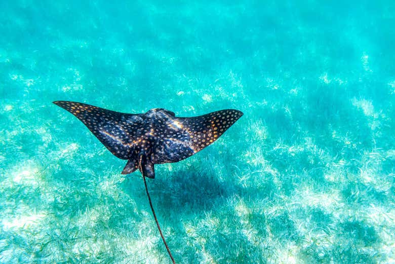 Excursión a la reserva de Sian Ka’an desde Riviera Maya, Playa del Carmen