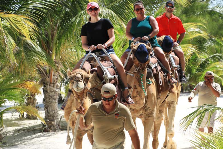 Camel Ride in Riviera Maya from Playa del Carmen - Civitatis.com