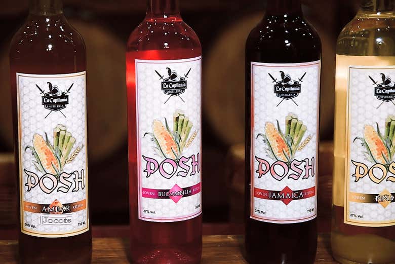 Tour del pox por San Cristóbal de las Casas - Civitatis.com