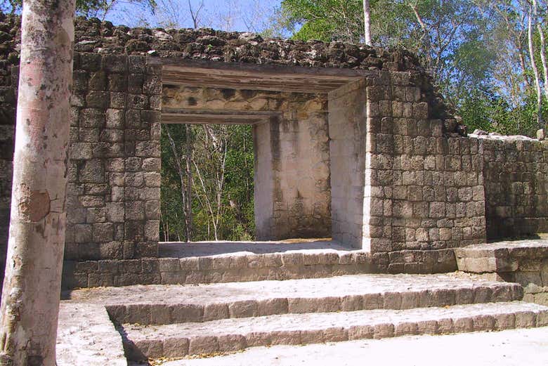 Excursión a Calakmul y Balamkú desde San Francisco de Campeche