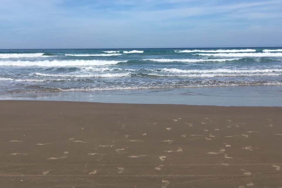 Tour por Tampico y playa Miramar - Reserva online en Civitatis.com