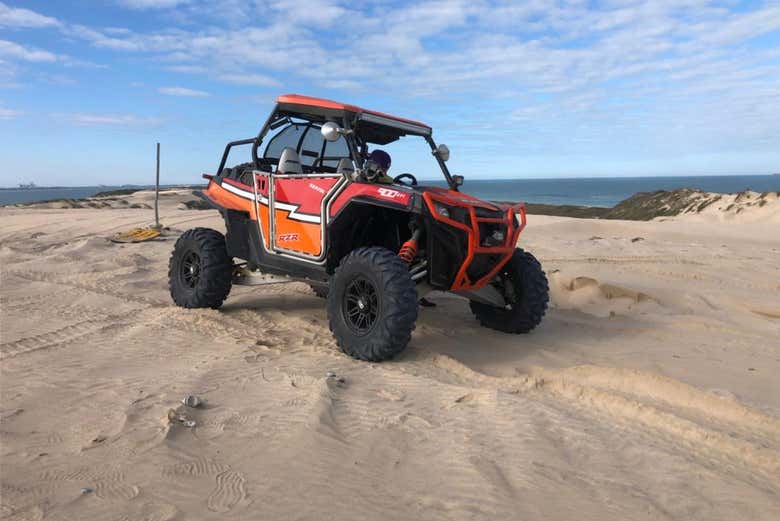 Tour en buggy por la playa Dunas Doradas desde Tampico, Tampico