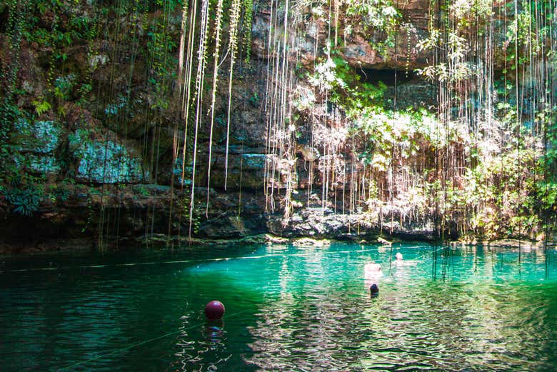 Excursão à lagoa de Kaan Luum + Cenotes Mariposa e Chen-Ha em Puerto ...