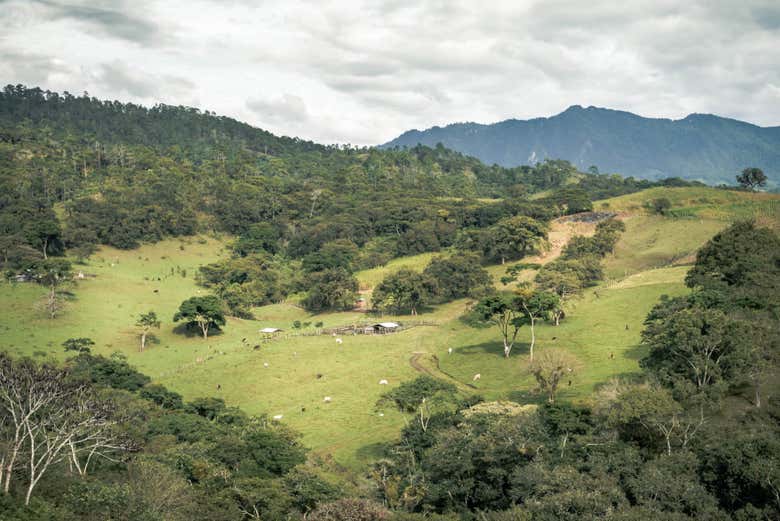 Toniná, Ocosingo y Cascada el Corralito desde Tuxtla Gutiérrez