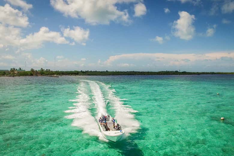 Marino Xcalak National Park Snorkeling Tour - Civitatis.com