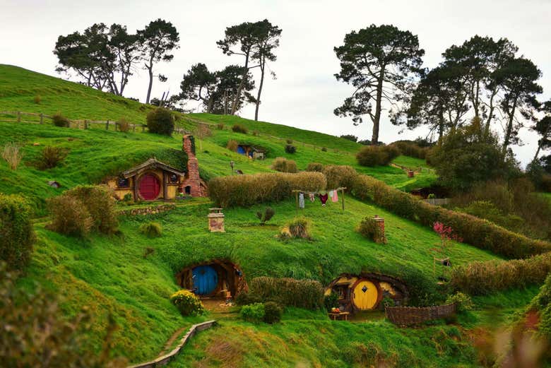 Excursión a Hobbiton + Cuevas de Waitomo desde Auckland