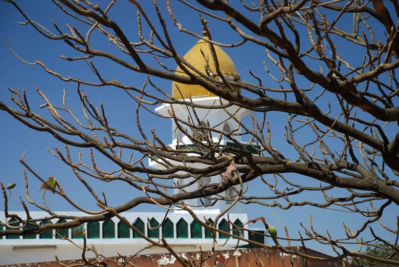 Tour of the Mountains and Valleys of Southern Oman from Salalah