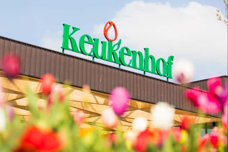 Guided Tour of the Keukenhof Gardens, Amsterdam