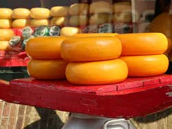 Museum The Story of Edam Cheese Ticket - Book at Civitatis.com