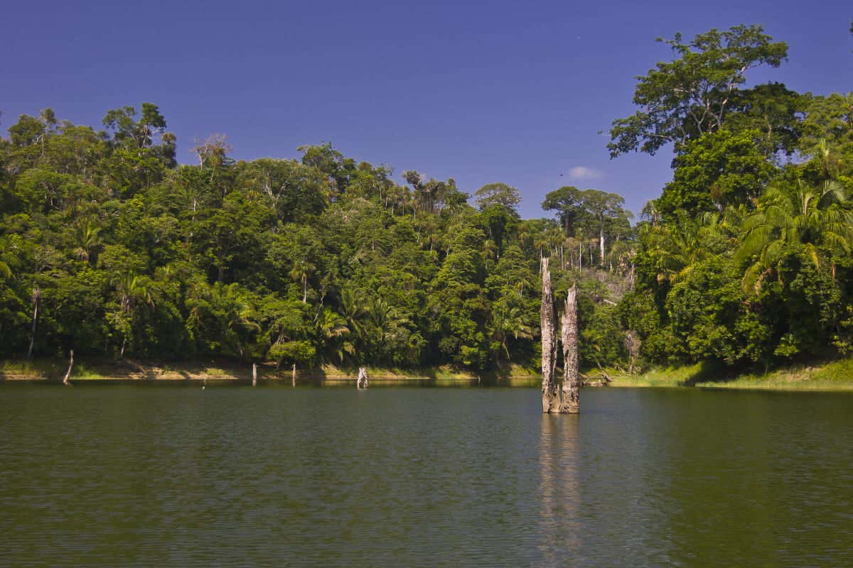 Cuevas de Bayano + Kayak por el río Tigre desde Ciudad de Panamá