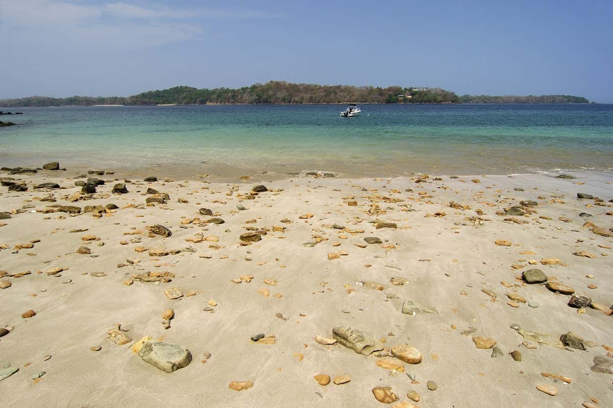 Excursión a isla Contadora desde Ciudad de Panamá