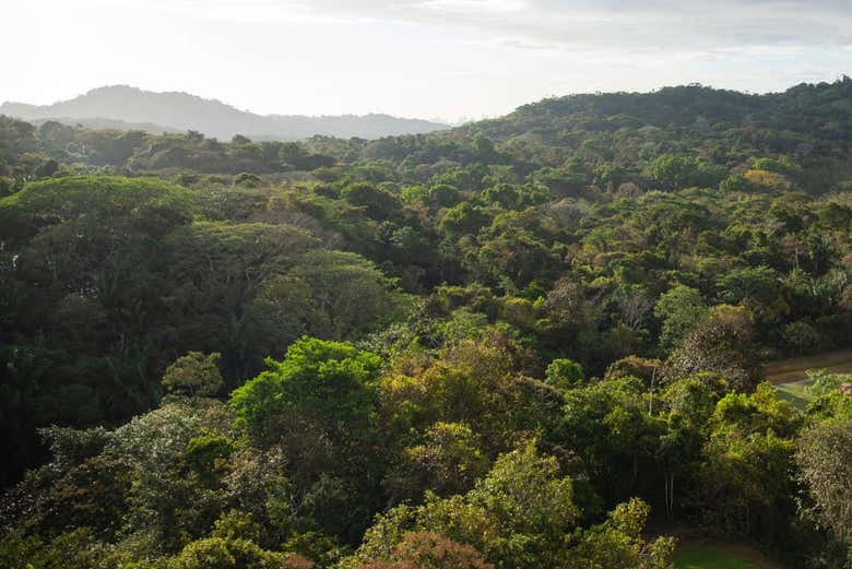 Parque Soberanía y santuario de perezosos desde Ciudad de Panamá