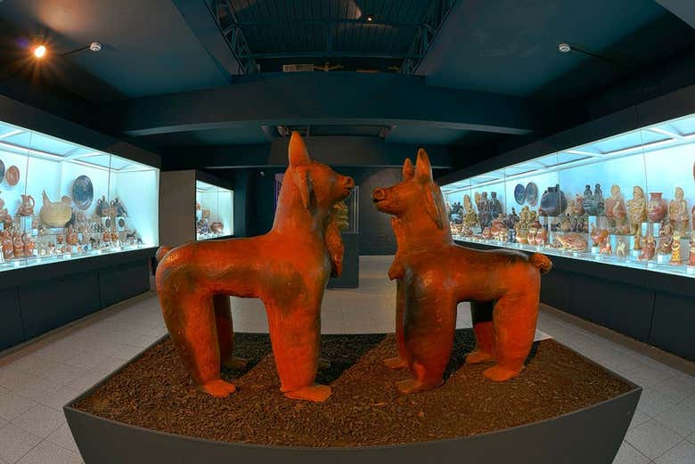 Asunción Museum Tour - Book Online at Civitatis.com