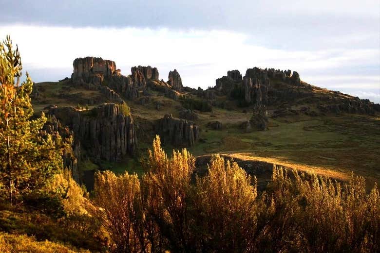 Excursión a Cumbemayo desde Cajamarca - Reserva en Civitatis.com