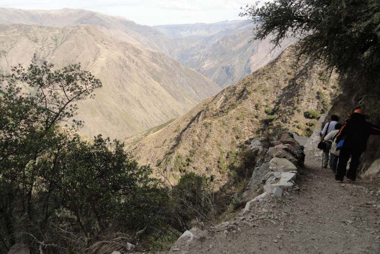 Excursion a Killarumiyoq, Tarawasi y mirador de Chonta desde Cusco