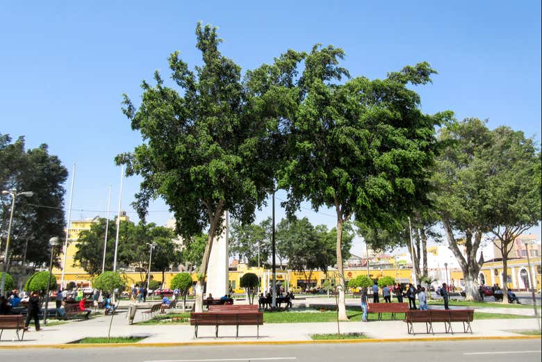 Tour de Ica al completo - Reserva online en Civitatis.com