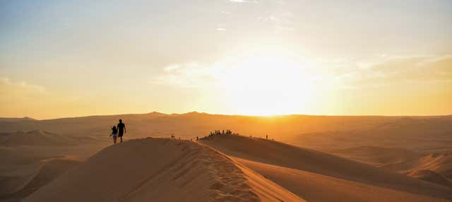 Tour de Ica al completo - Reserva online en Civitatis.com