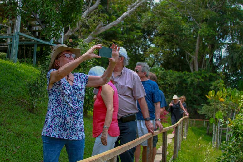 Tour de 3 o 4 días por el bosque Yanamono desde Iquitos