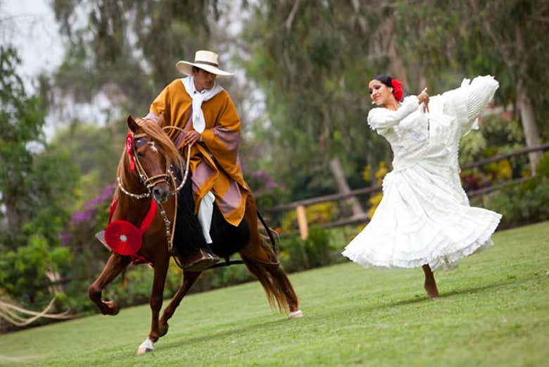 Tour por Pachacamac + Espectáculo ecuestre de caballos peruanos, Lima