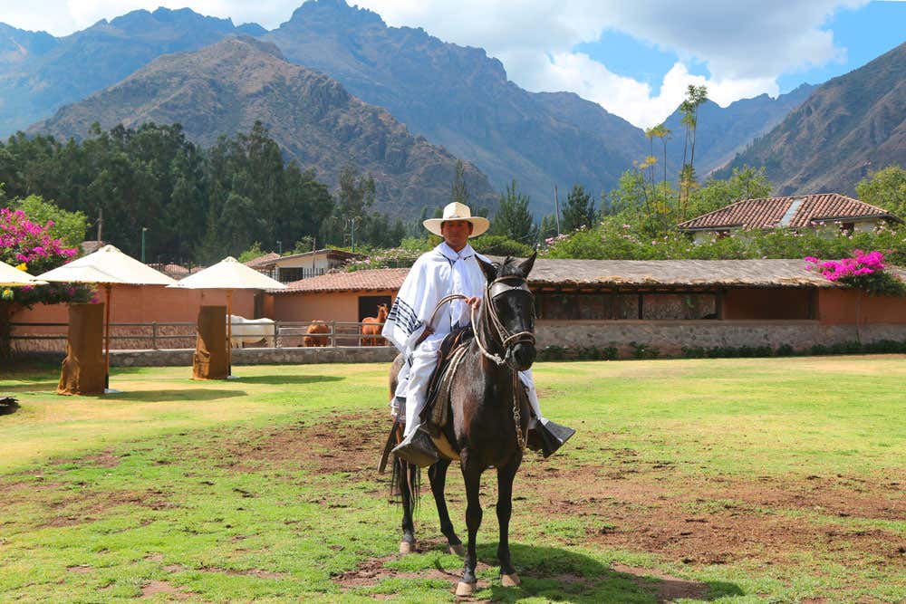 Tour por Pachacamac + Espectáculo ecuestre de caballos peruanos, Lima