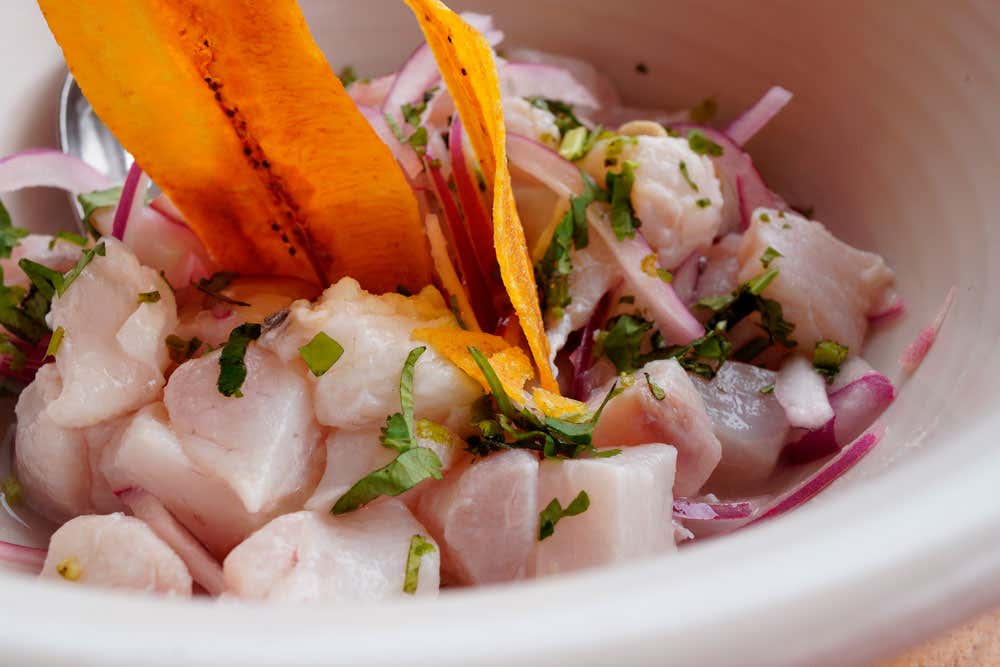 Taller de ceviche y pisco sour + Comida en Lima - Civitatis.com