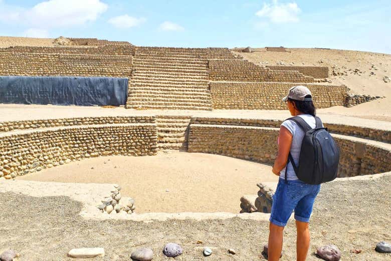 Excursión a Bandurria y humedales del Paraíso desde Lima