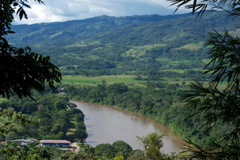 Tour privado por Moyobamba - Reserva online en Civitatis.com