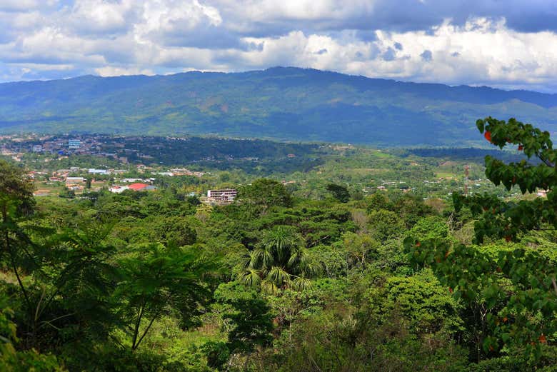 Tour privado por Moyobamba - Reserva online en Civitatis.com