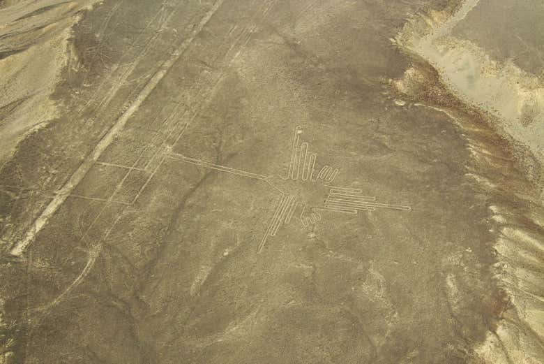 Tour de Nazca al completo con entradas - Reserva en Civitatis.com